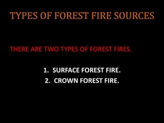 The forest fire | PPTX