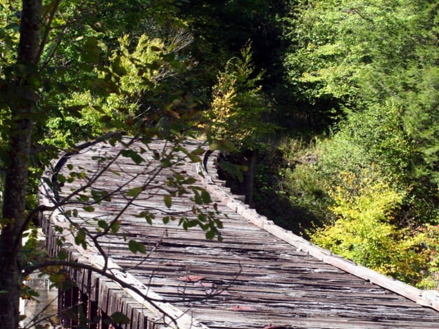 The Forest Rhapsody | PPT