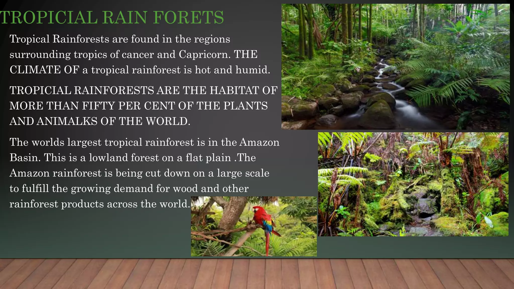 The Forests of the World.pptx