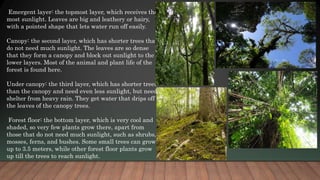 The Forests of the World.pptx