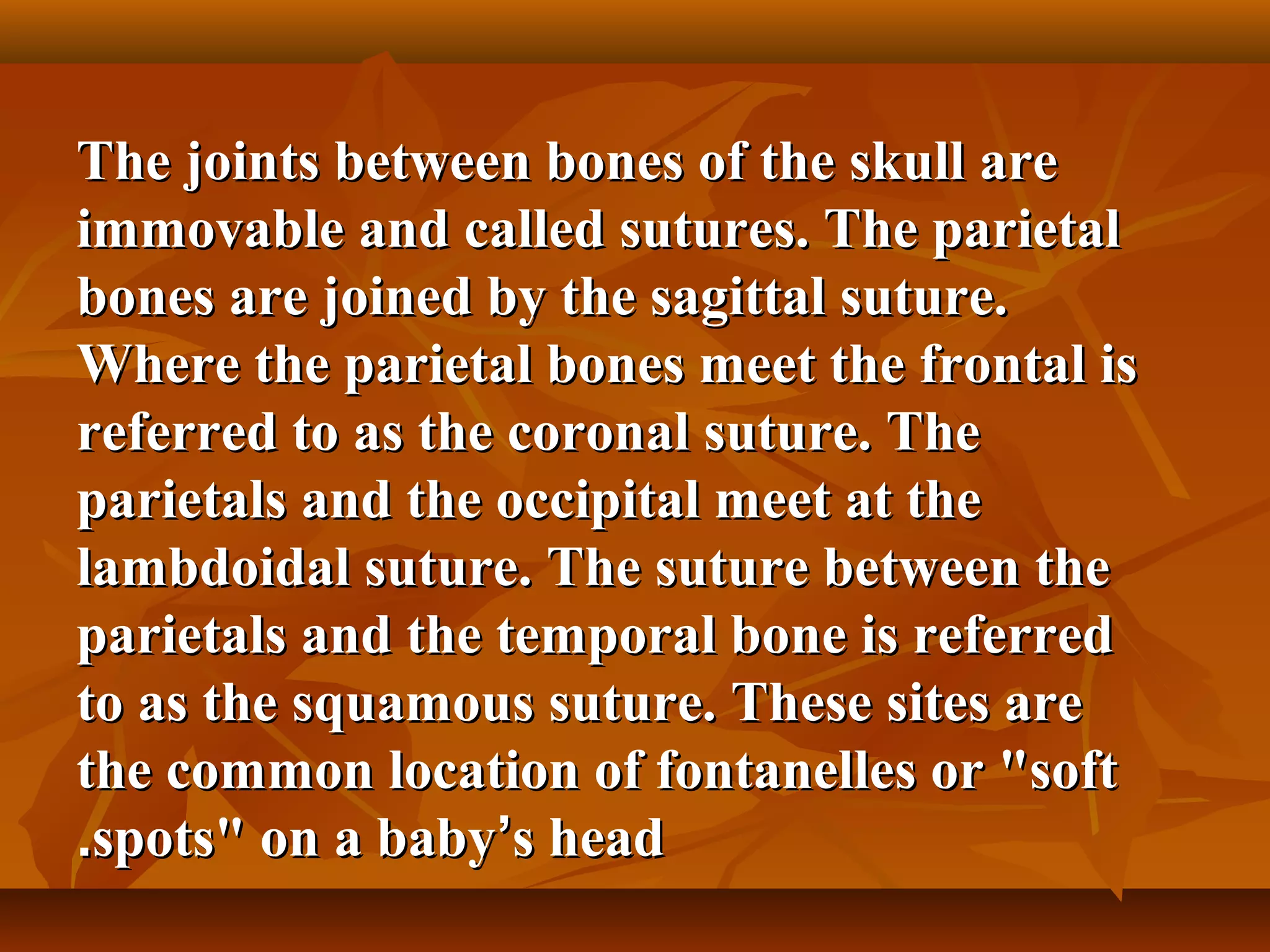 The forman Anatomy | PPT