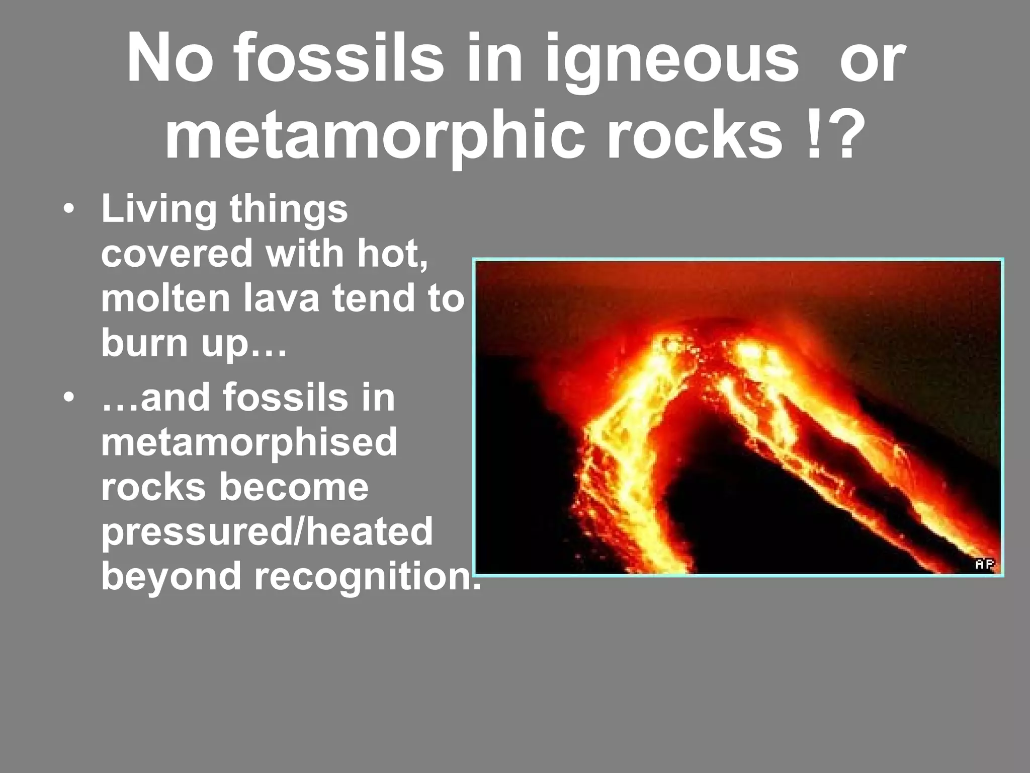 The Fossil Record | PPT