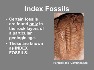The Fossil Record | PPT