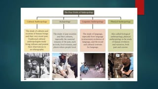 Anthropology: The four field approach | PPT
