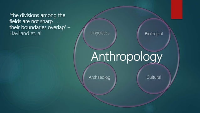Anthropology: The four field approach | PPT