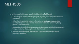 Anthropology: The four field approach | PPT