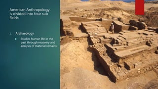 Anthropology: The four field approach | PPT