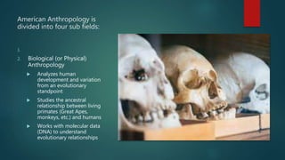 Anthropology: The four field approach | PPT