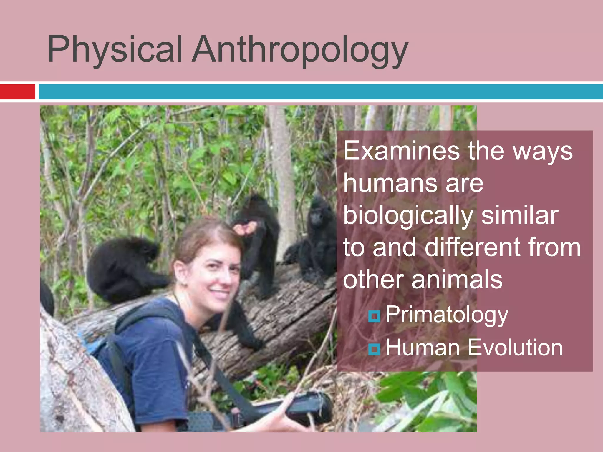 The four fields of anthropology | PPTX