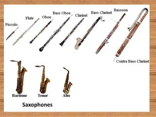 Woodwind Instrument Family