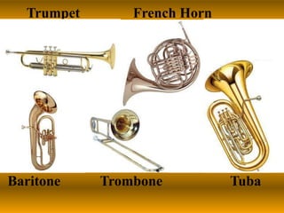 The four instrument families of the orchestra! | PPTX