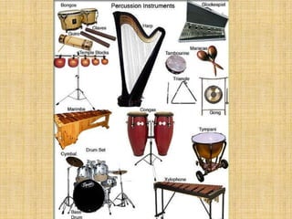 Percussion Instruments Family