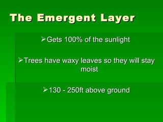 The four layers of the amazon rainforest emmas project2 | PPT