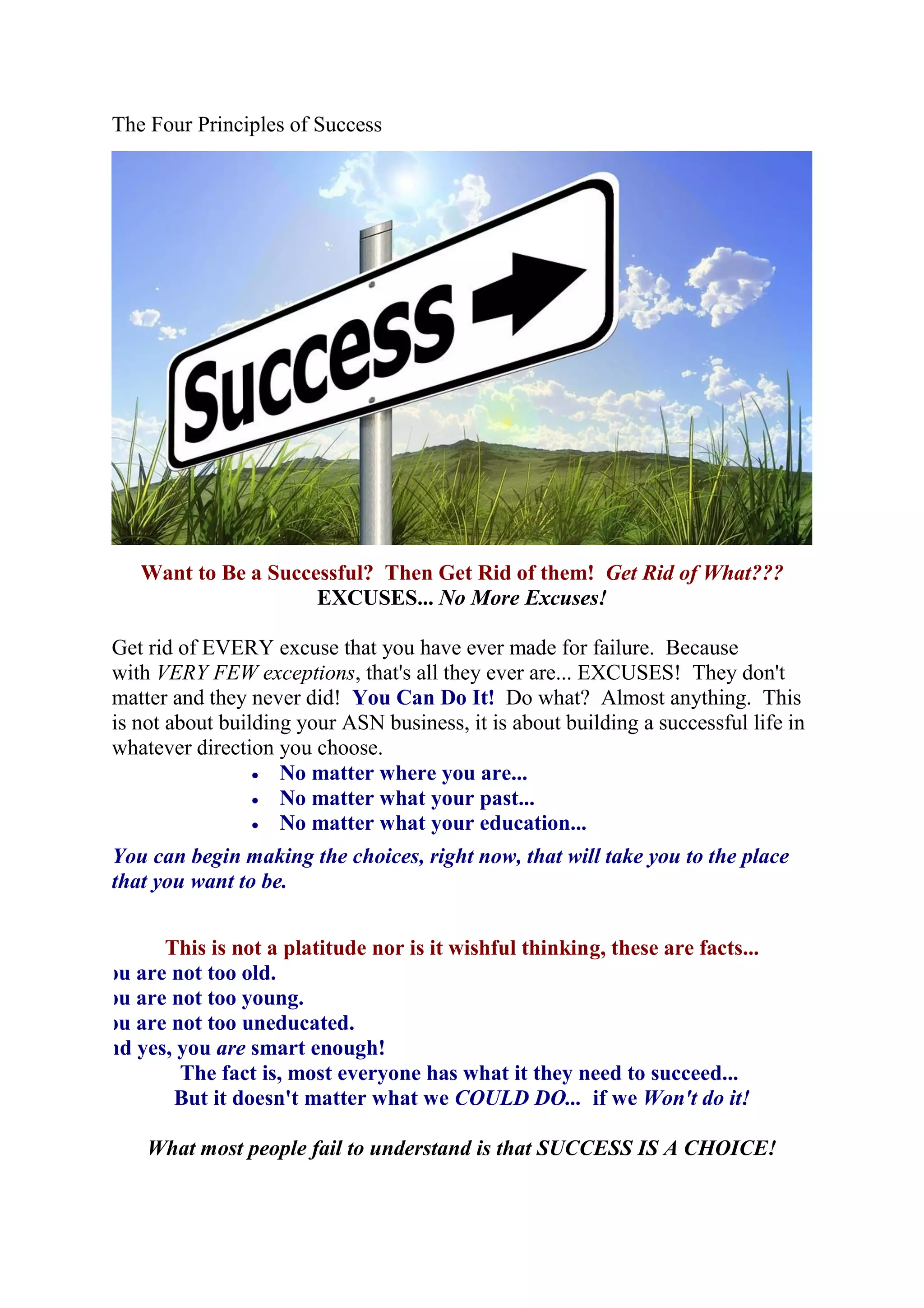 The four principles of success | PDF