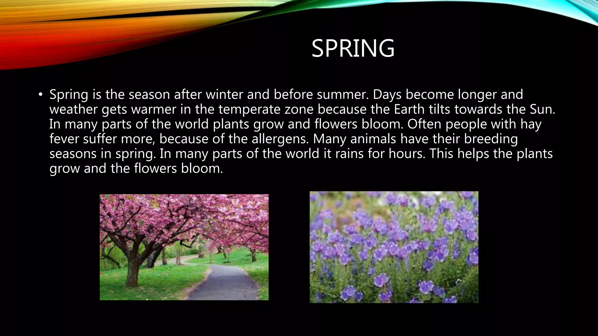 The four season of the year | PPTX