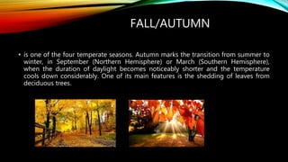The four season of the year | PPTX