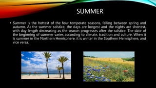 The four season of the year | PPTX