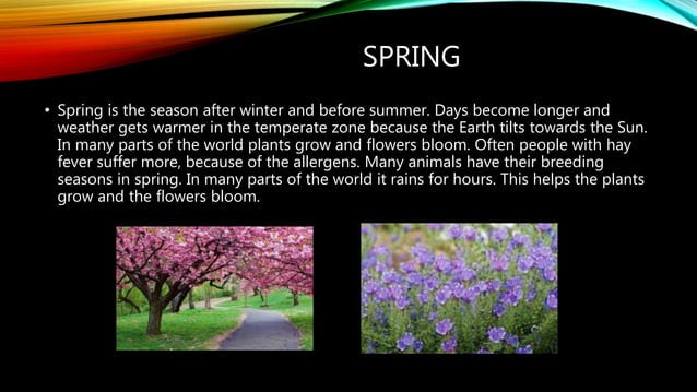The four season of the year | PPTX