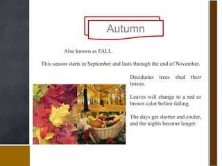 The four seasons | PPTX