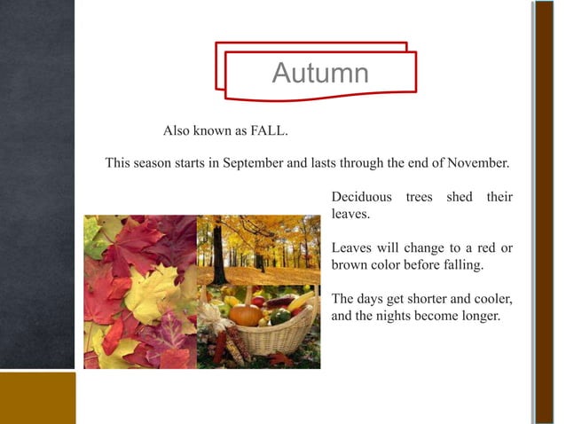 The four seasons | PPTX