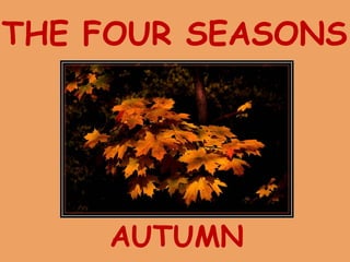 The Four Seasons - Autumn | PPS