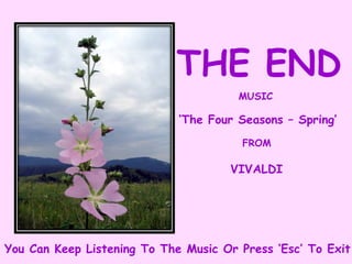 The Four Seasons - Spring | PPS