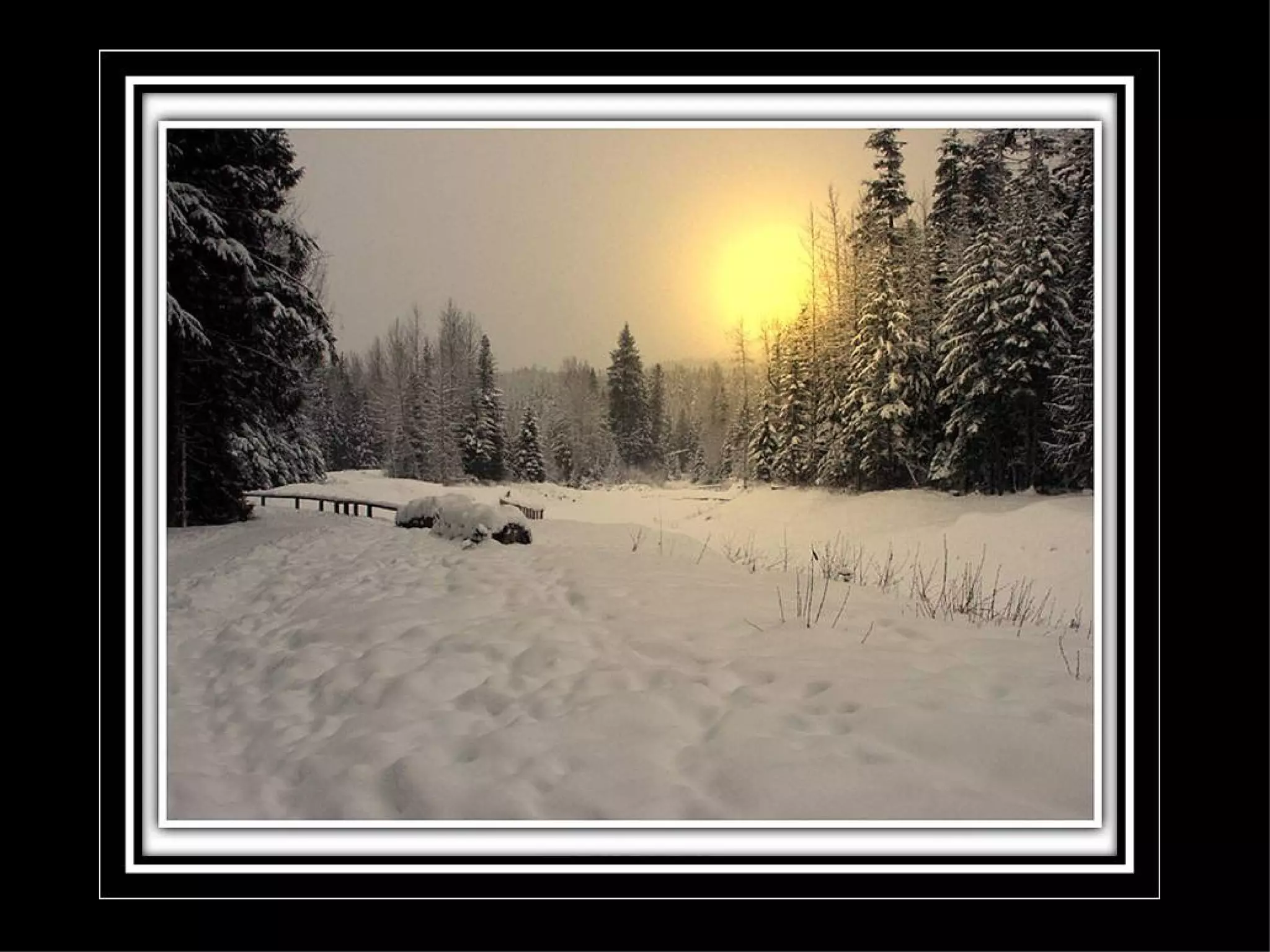 The Four Seasons - Winter | PPS