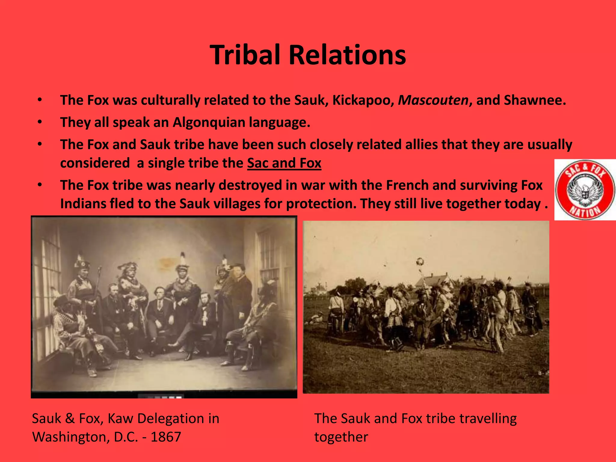 The fox tribe | PPTX