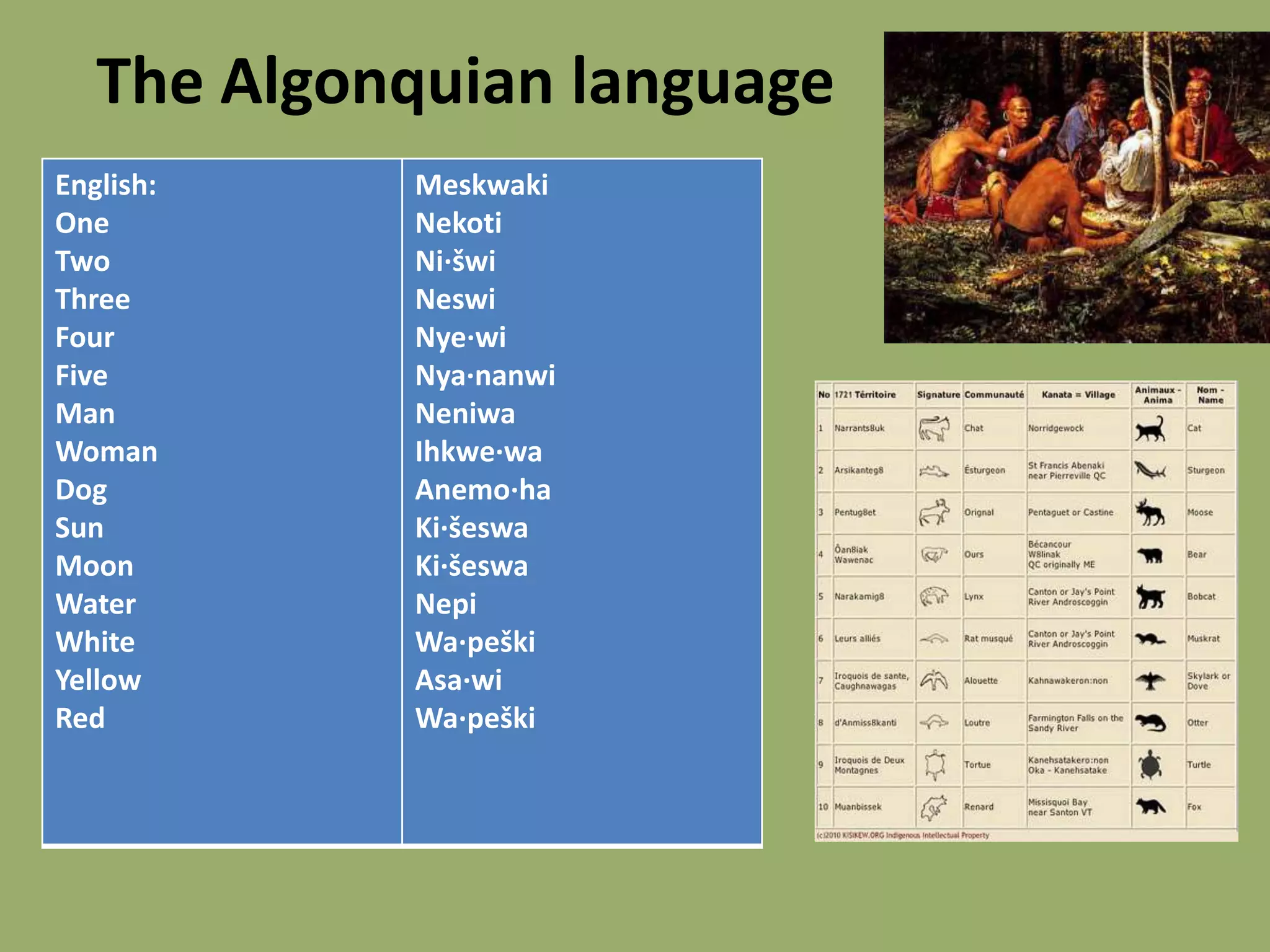 The fox tribe | PPTX