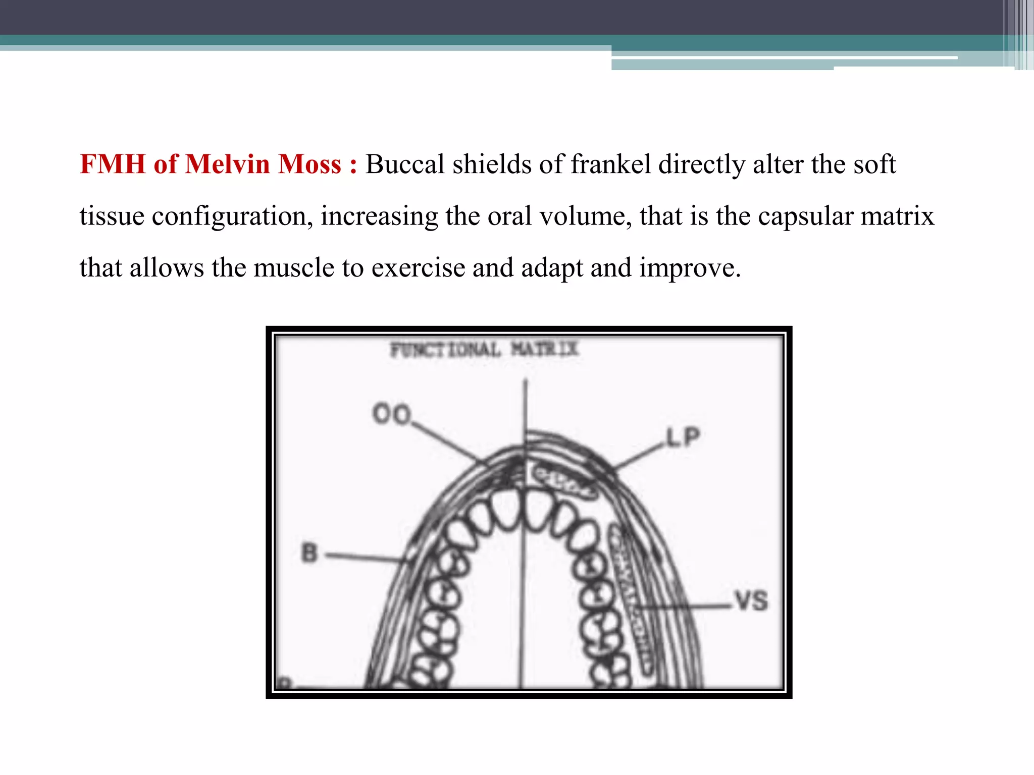 THE FRANKEL FUNCTIONAL REGULATOR.pptx