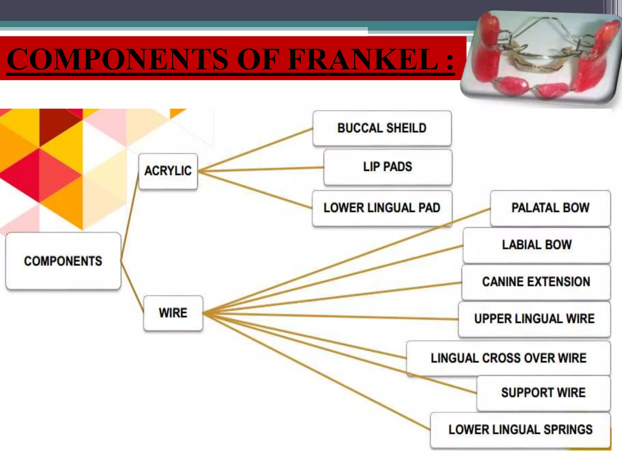 THE FRANKEL FUNCTIONAL REGULATOR.pptx