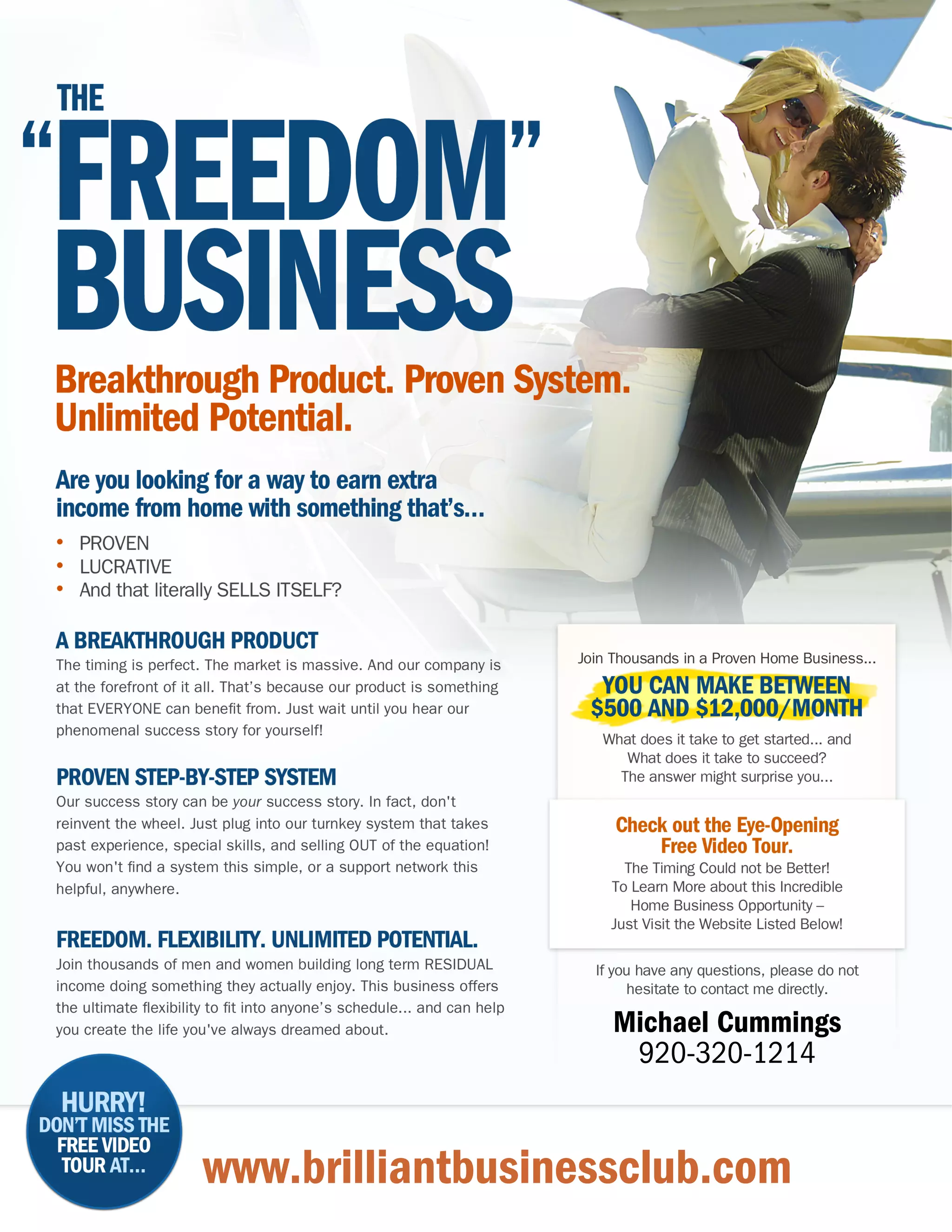 The Financial Freedom Business flyer | PDF