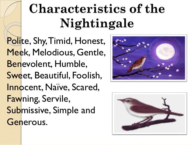 Florence Nightingale Character Traits