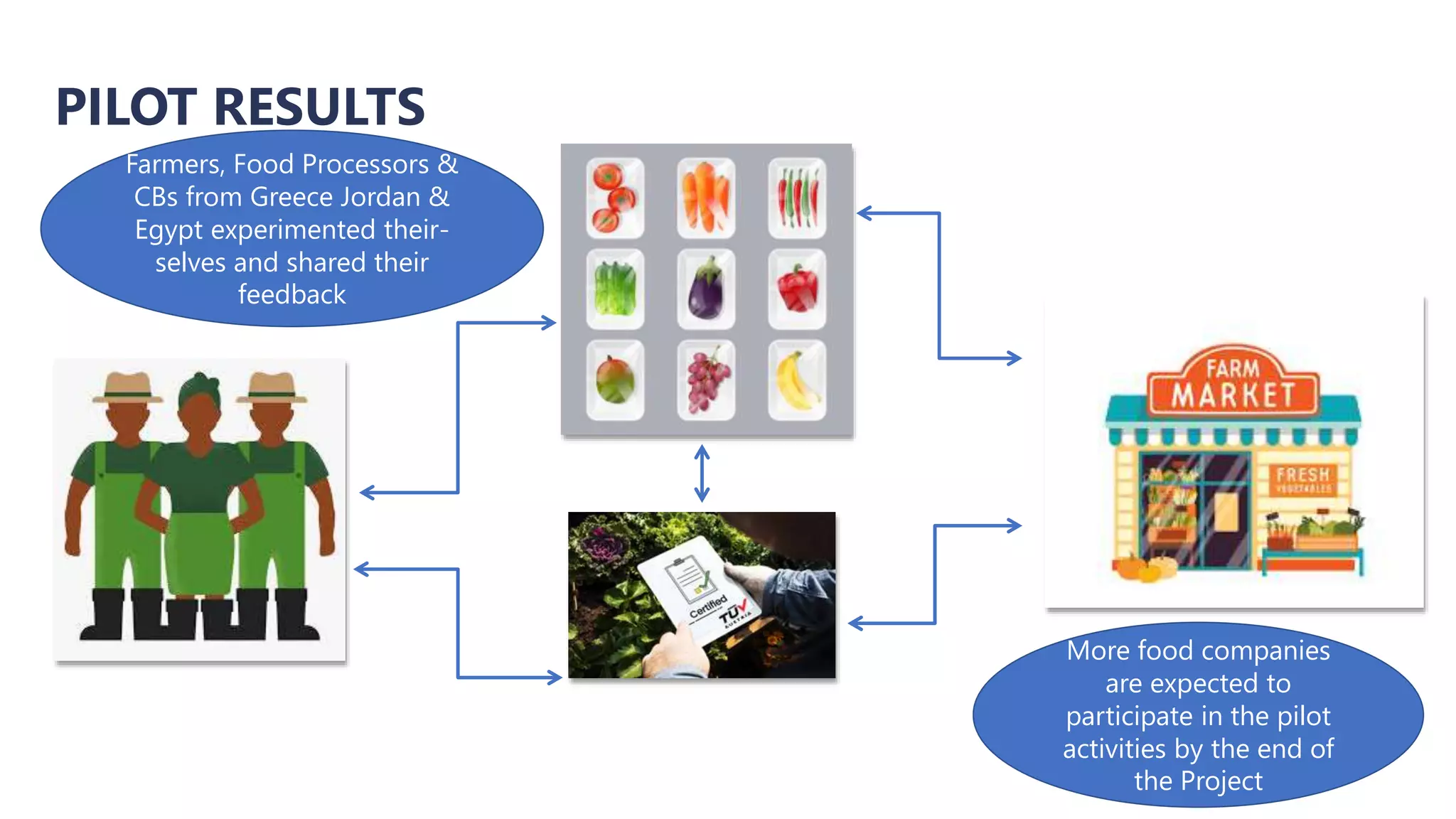 thefsm-storyboard-application-video-v4-281122.pptx