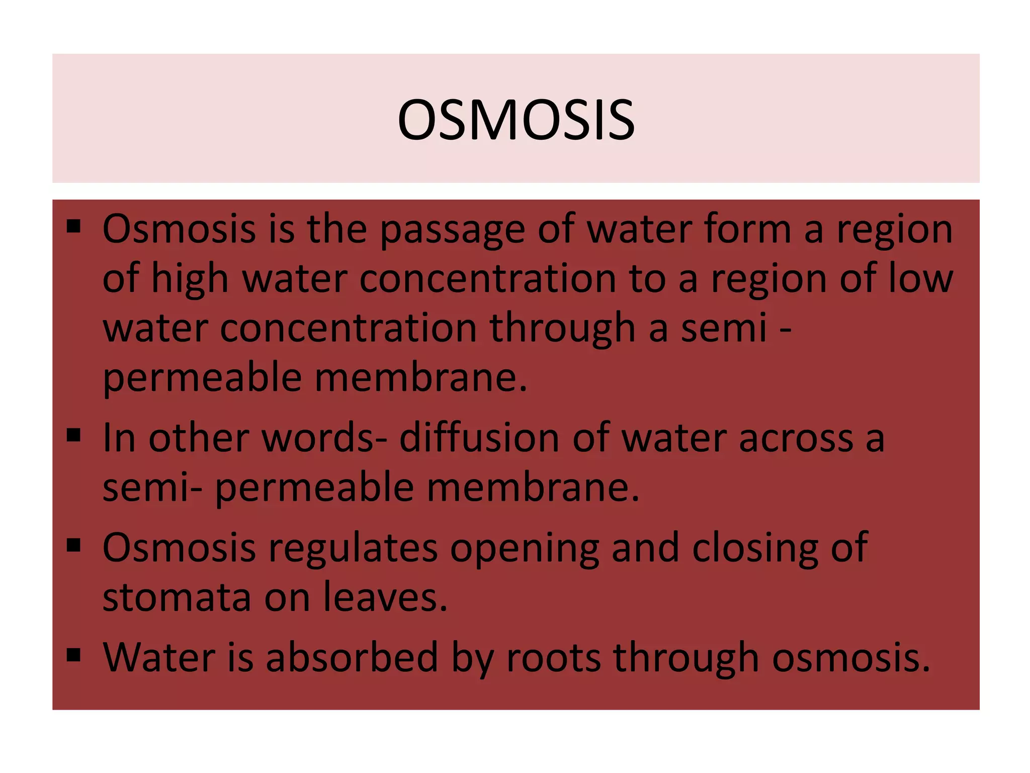 The funamental unit of life | PPTX