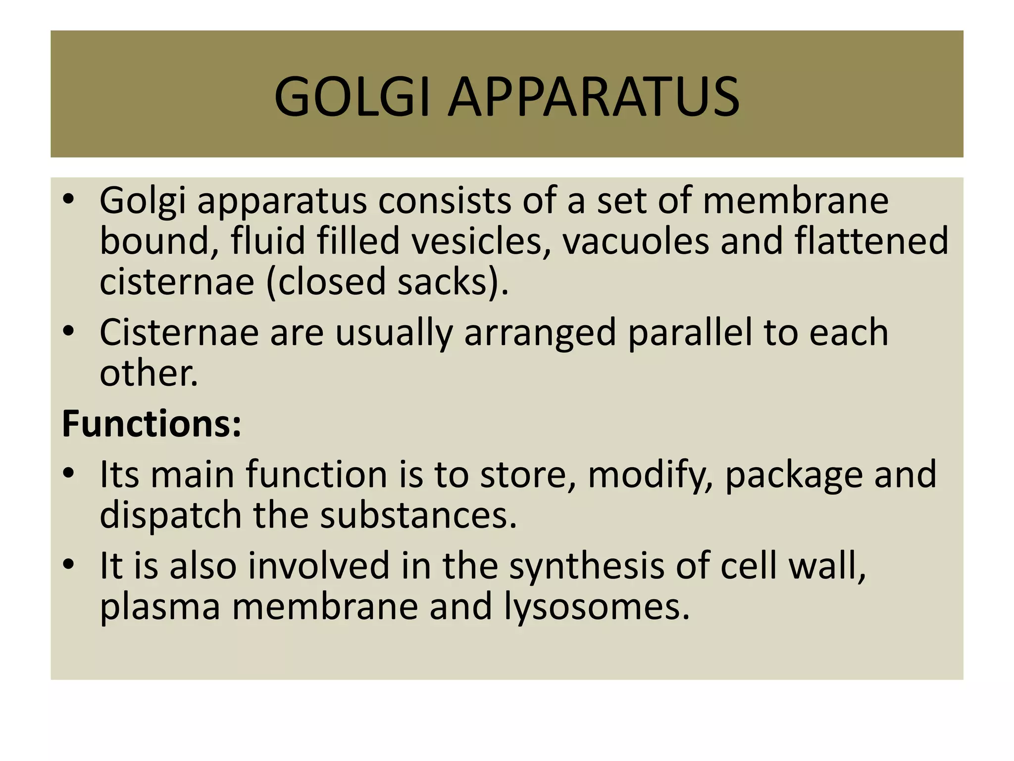 The funamental unit of life | PPTX