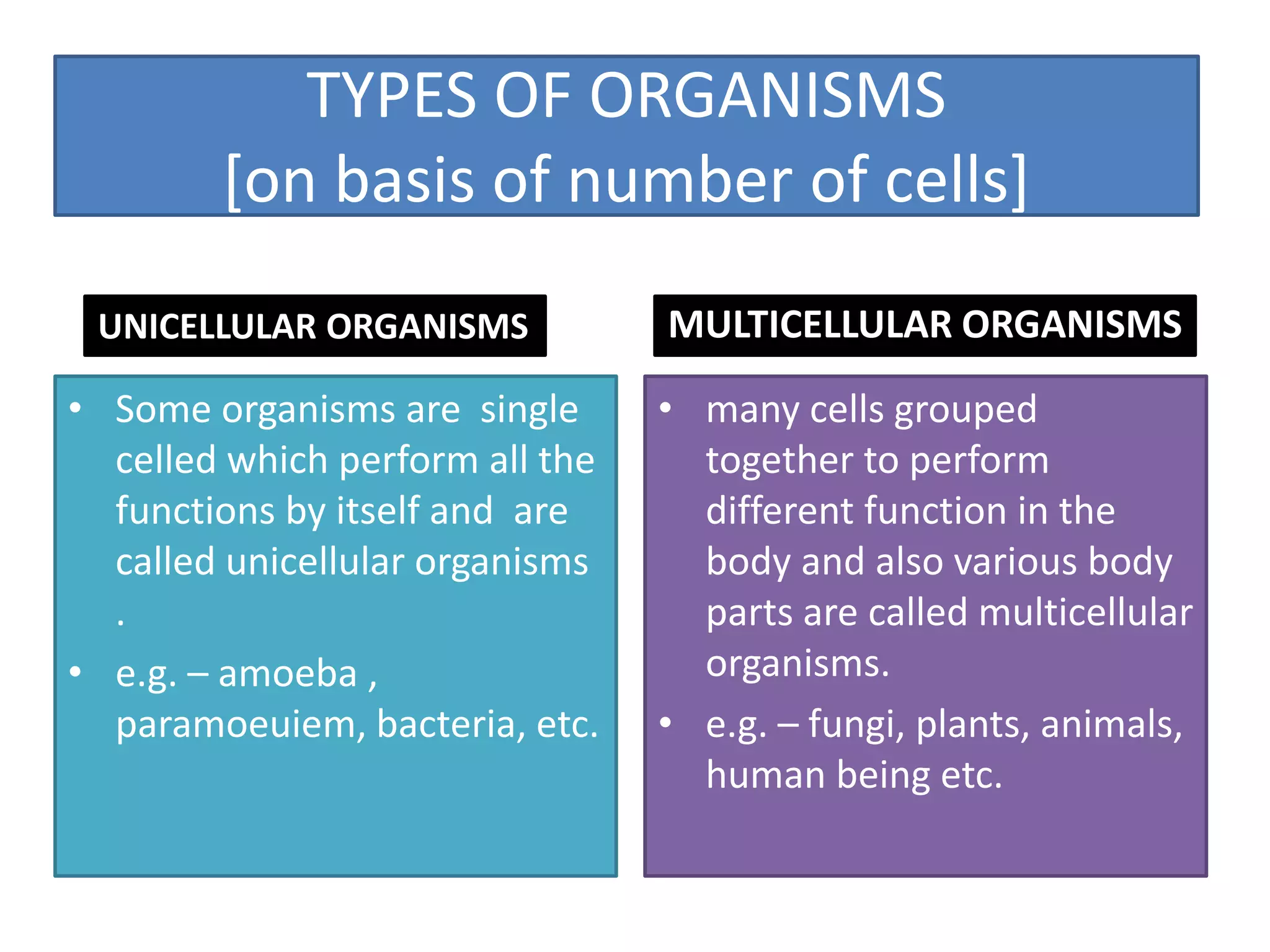 The funamental unit of life | PPTX