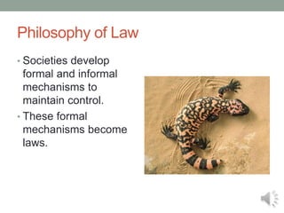 The function and purpose of law power point | PPTX