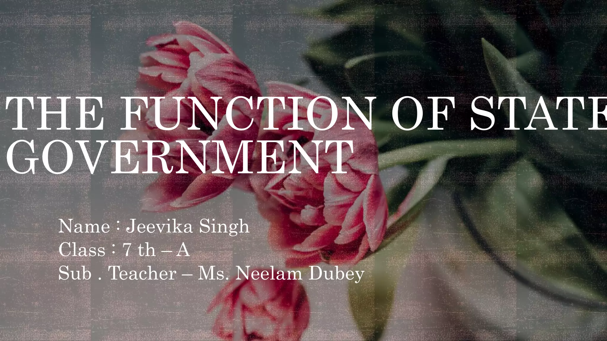 The function of state government | PPTX