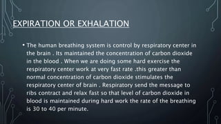 lungs and its main disorder | PPTX