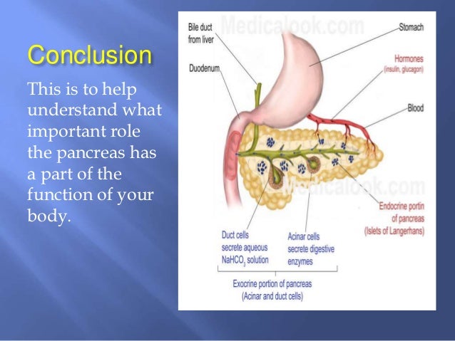 Pancreas Function