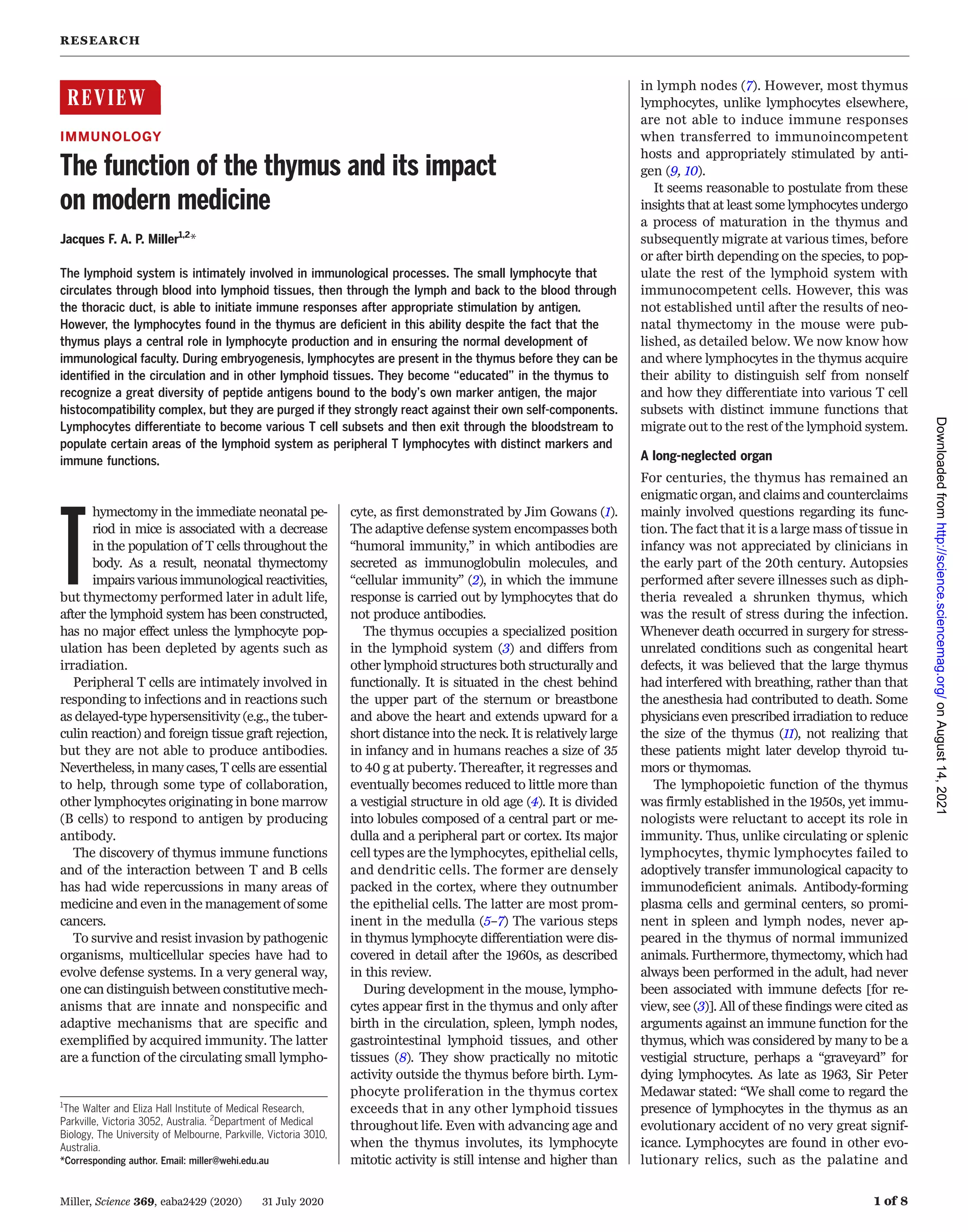 The function of the thymus | PDF