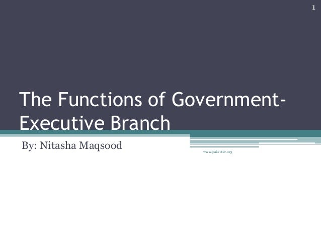 The Functions Of Government Executive Branch the-functions-of-government-executive-branch