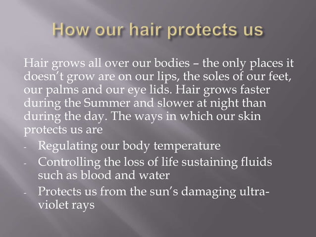 The Functions of the Hair | PPT