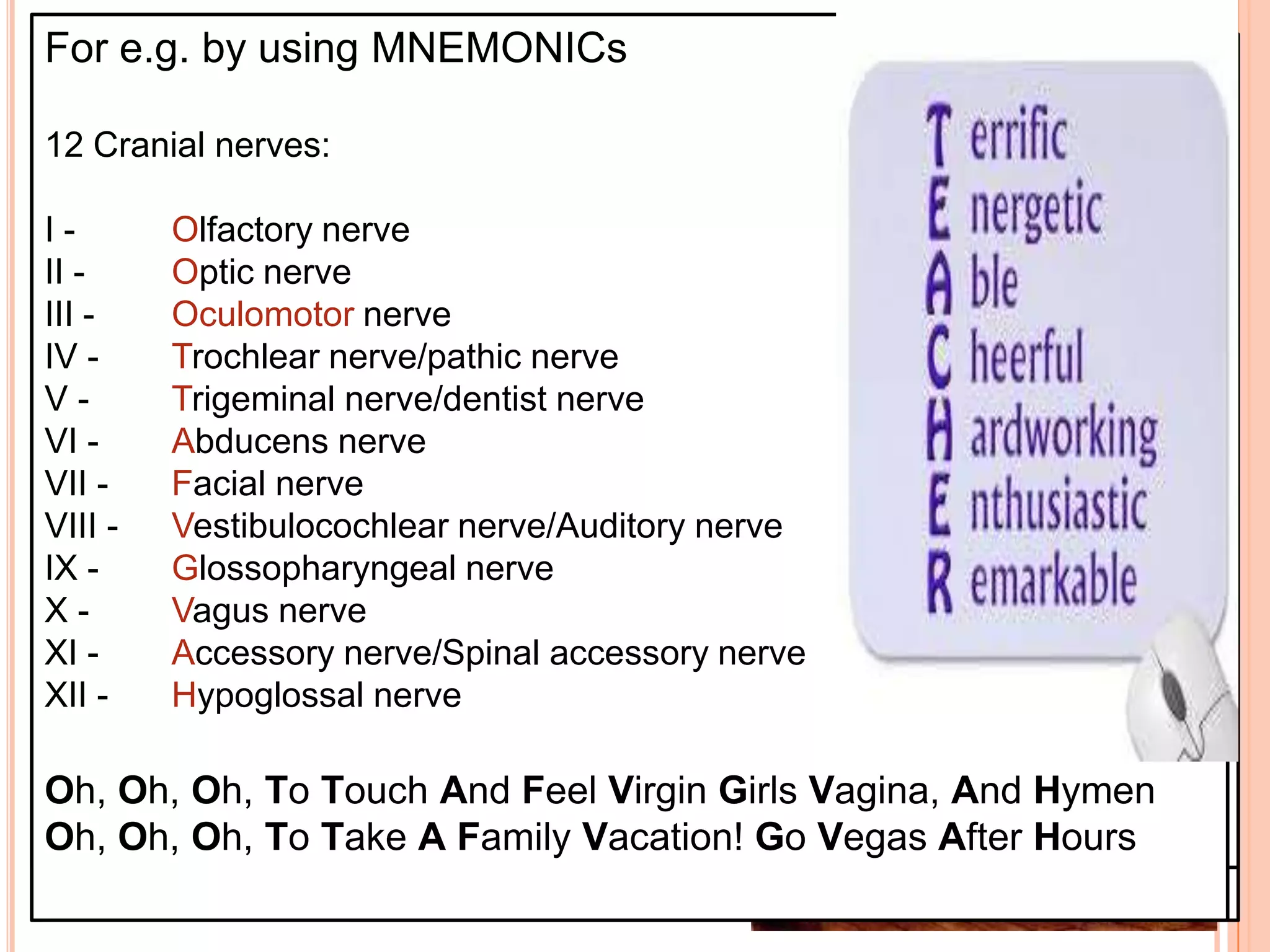 The fundamental equipment of the Learner | PPTX