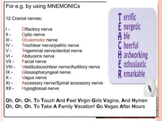 The fundamental equipment of the Learner | PPTX