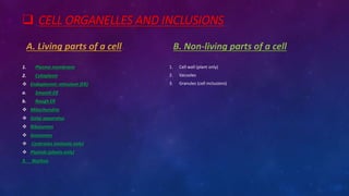 The fundamental UNIT OF CELL.pptx | Biological Sciences | Science