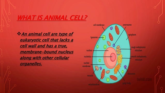 The fundamental UNIT OF CELL.pptx | Biological Sciences | Science