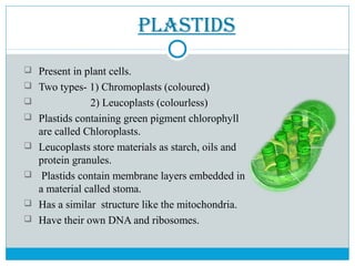 The fundamental unit of life | PPT