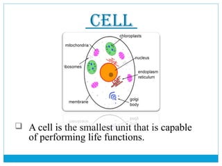 The fundamental unit of life | PPT
